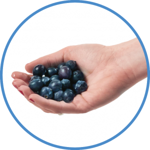Nutrition Facts - Blueberry.org