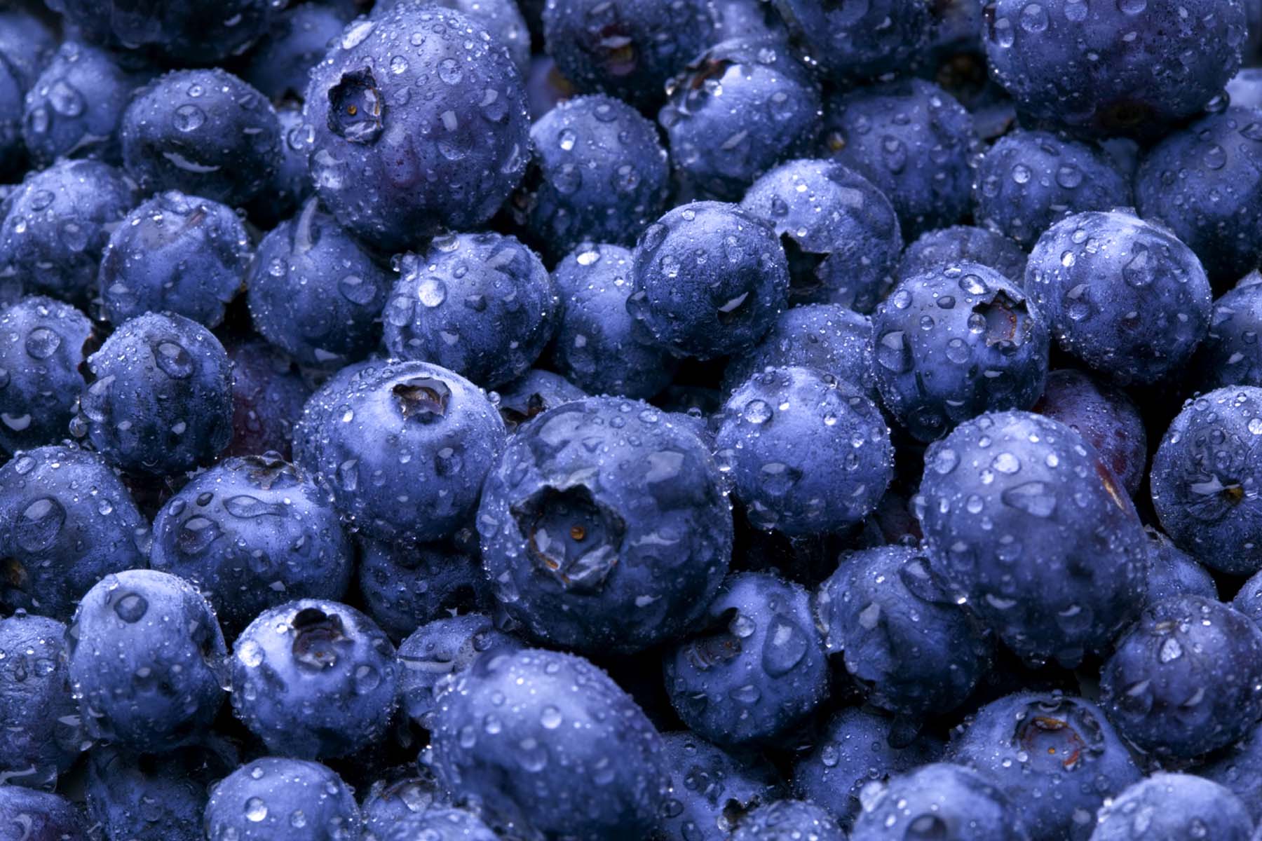National Blueberry Month: 31 Days of Grabbing and Giving a Boost ...