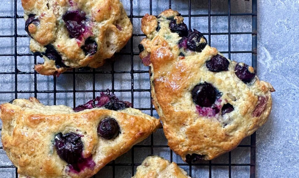 Recipes Using Frozen Blueberries - Blueberry.org