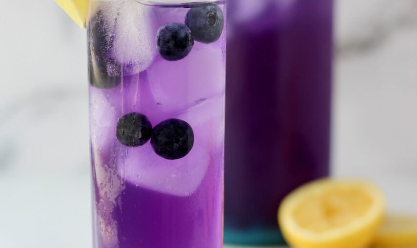 Beverage, Drink and Cocktail Recipes - Blueberry.org