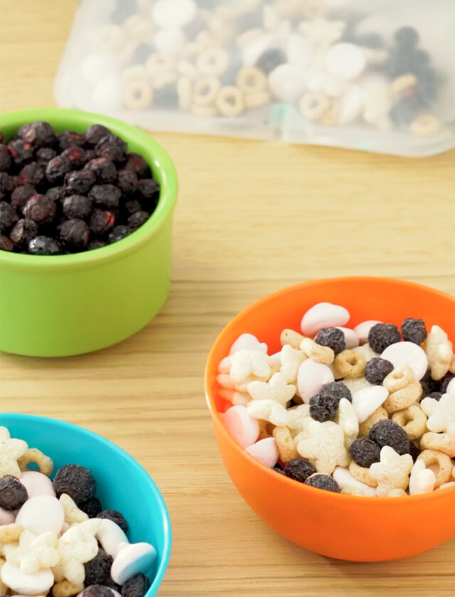 Easy Blueberry Snack Mix - Blueberry.org