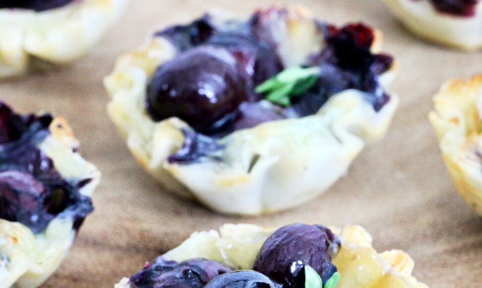 Appetizer Recipes - Blueberry.org