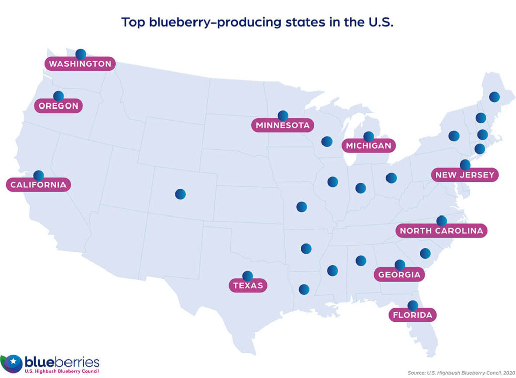Production Blueberries Production Blueberries